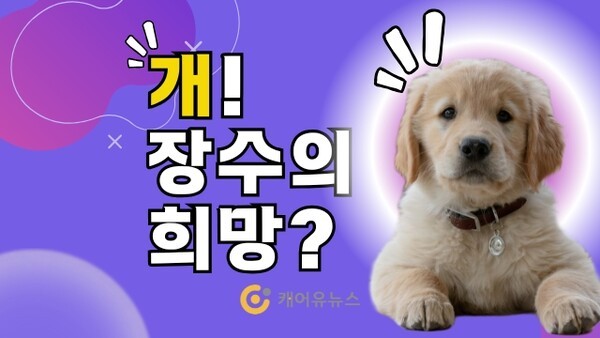 2025년, 개 수명을 1년 더 연장 시키는 알약 LOY-002 출시